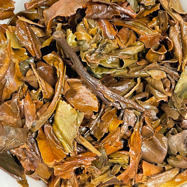 Skin Walker Ranch – Wendigo Tea Co.